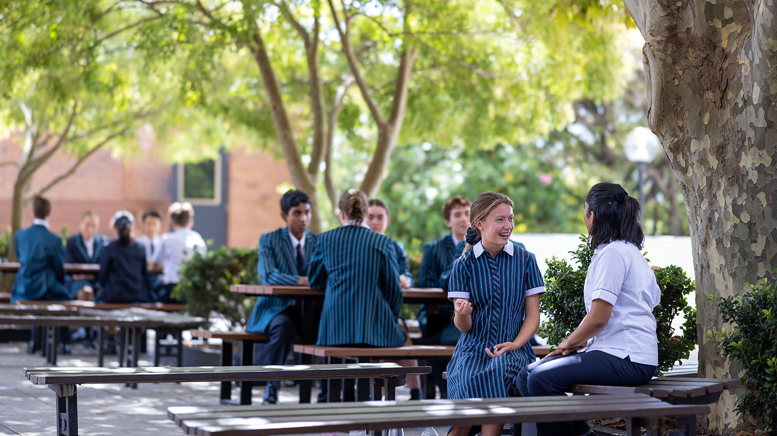 News - Newcastle Grammar School