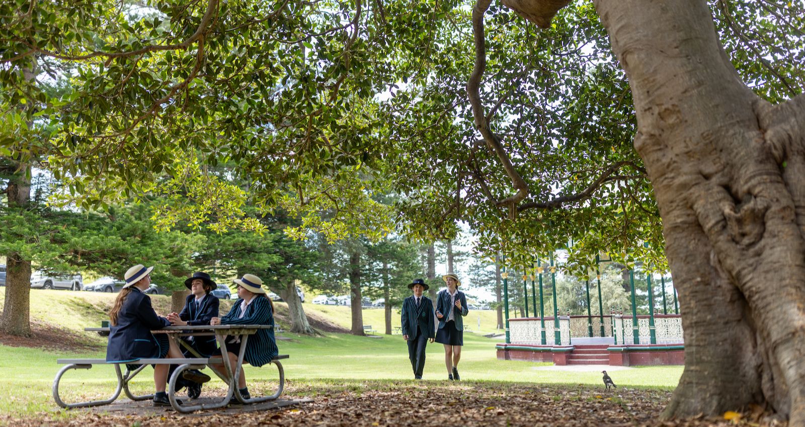 Meet the Board - Newcastle Grammar School